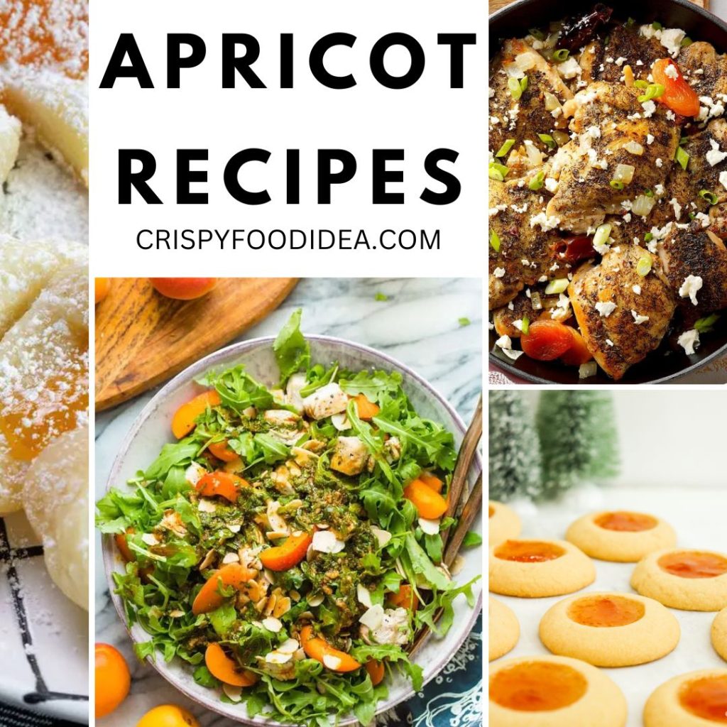 21 Healthy Apricot Recipes To Satisfy Your Taste Buds - CRISPYFOODIDEA